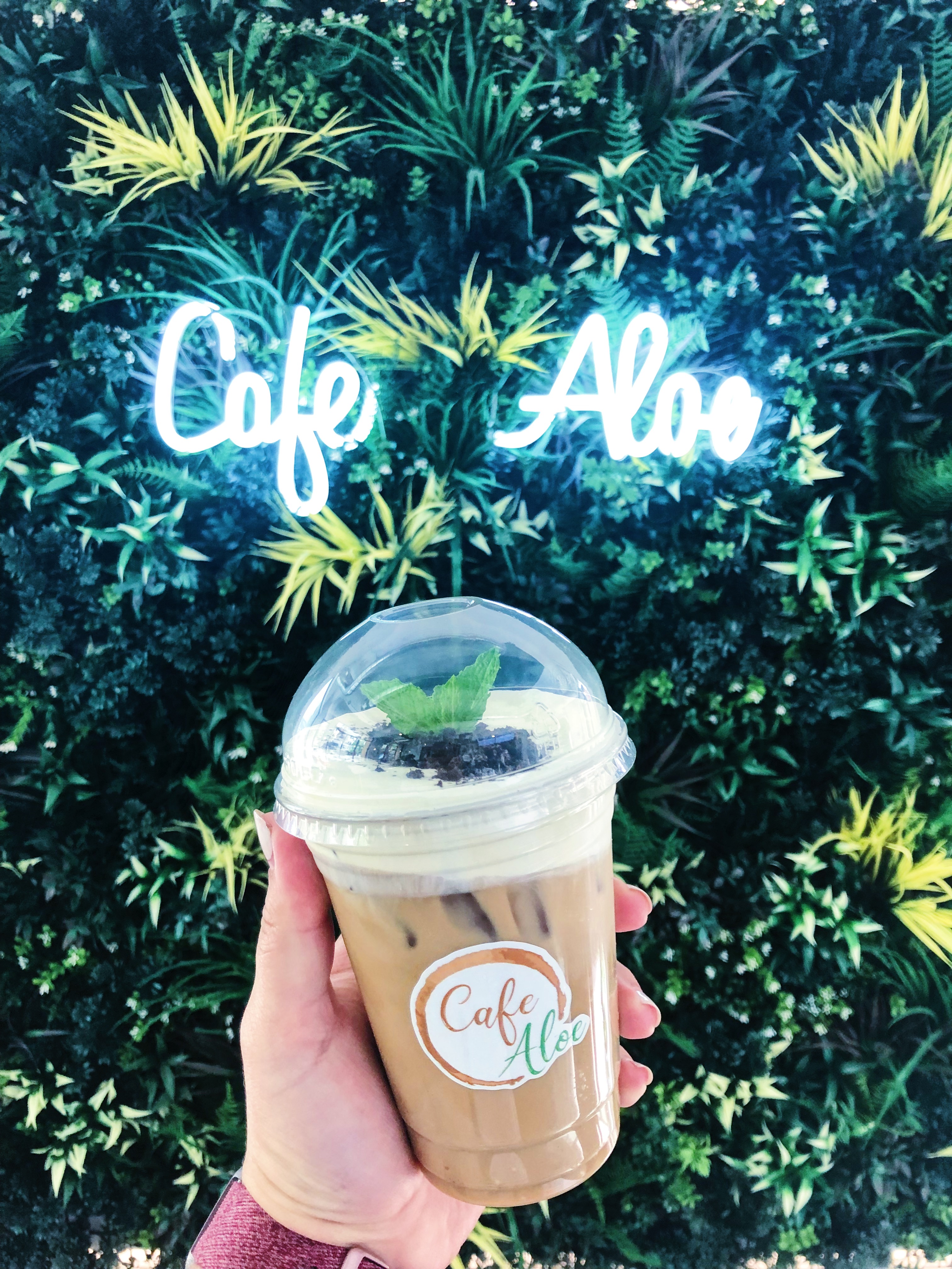 Cafe Aloe – Aly Eats Food